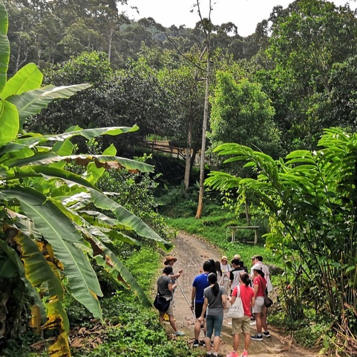 List of The Best Durian Farms In Malaysia – Durians.com | Your Ultimate ...